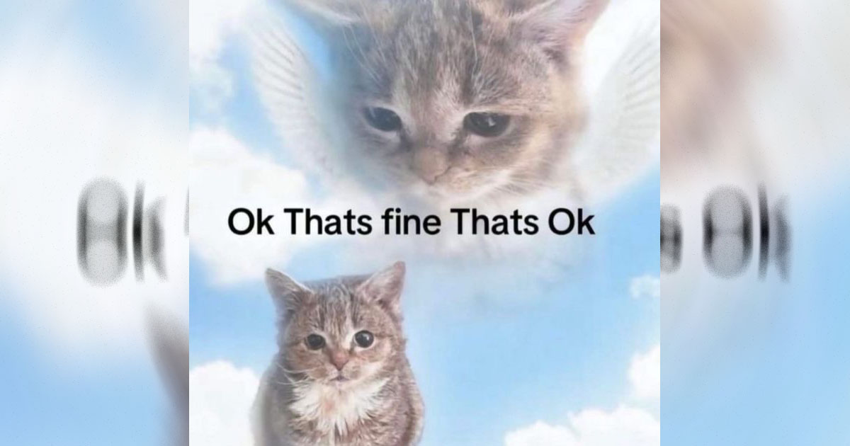 24 Memes That Are Fine and Okay - Memebase - Funny Memes