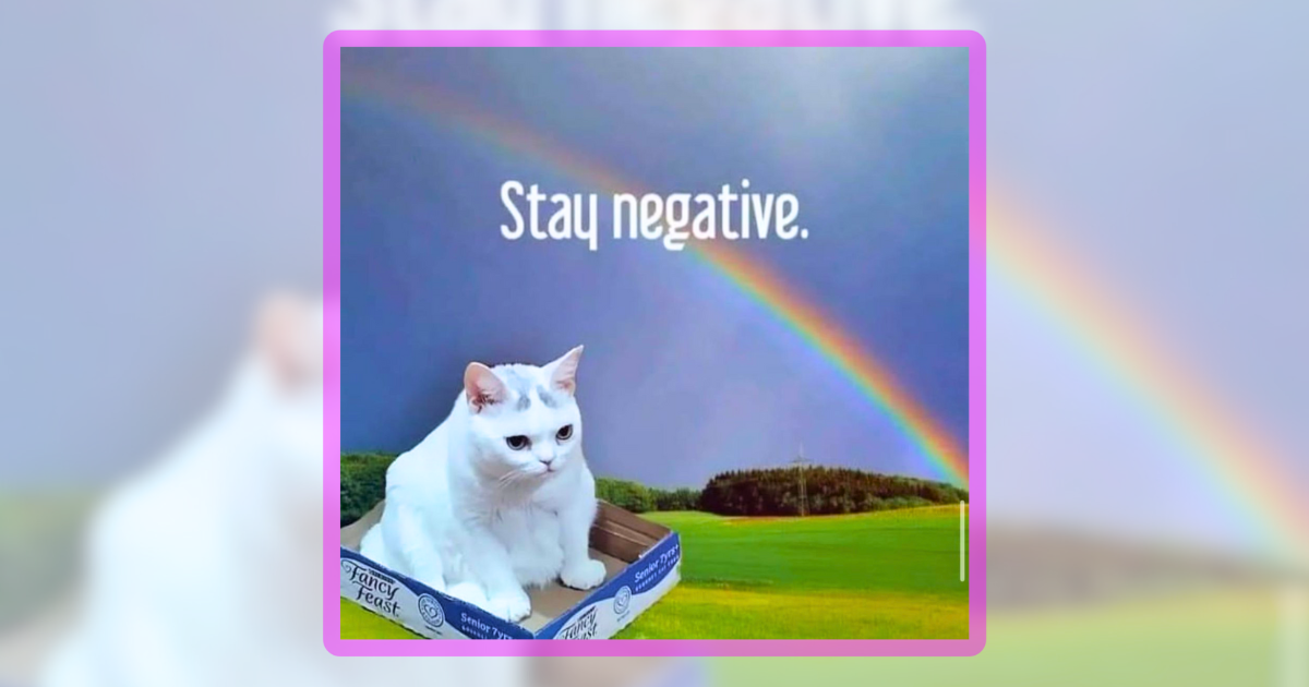 Soul Refreshment Made of 27 Feline Funnies Full of Cat Energy - I Can ...