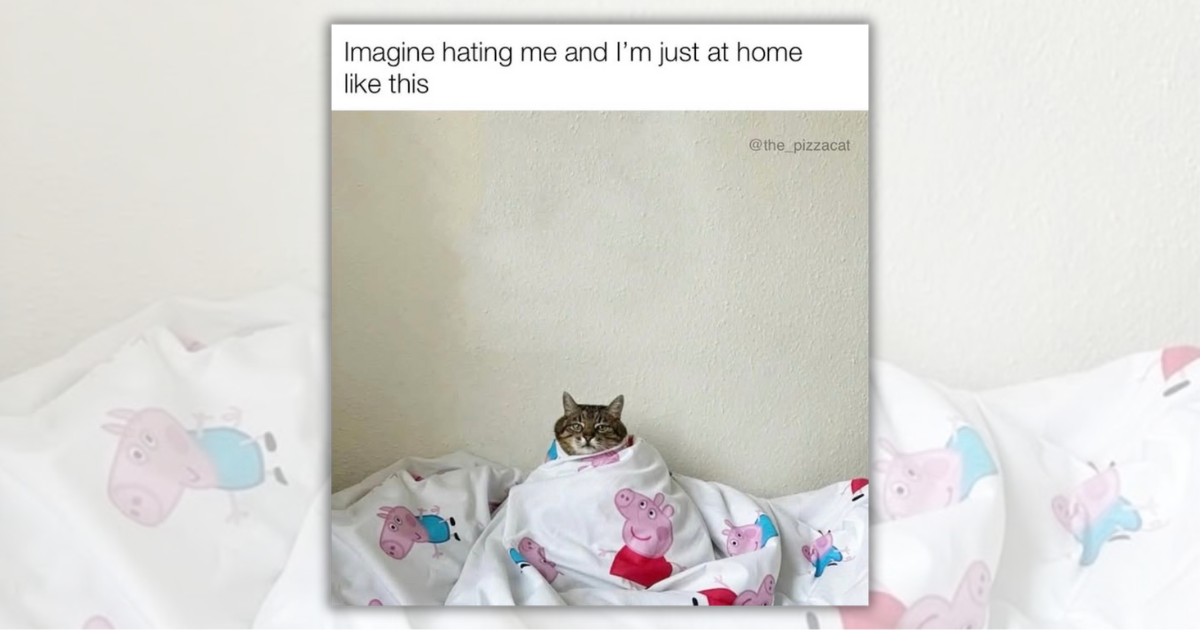 27 Best Cat Memes to Mentally Survive the Calendar’s Cruelest Joke ...