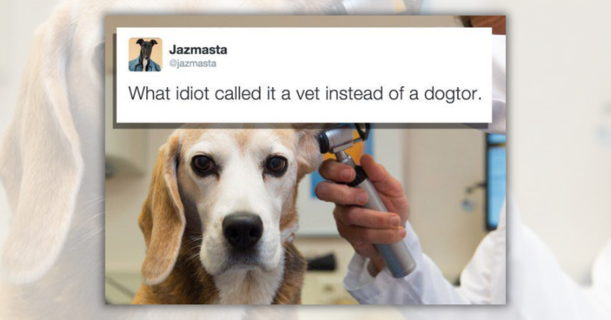 23 Howlarious Doggo Memes to Keep the Sunday Scaries on a Short Leash ...