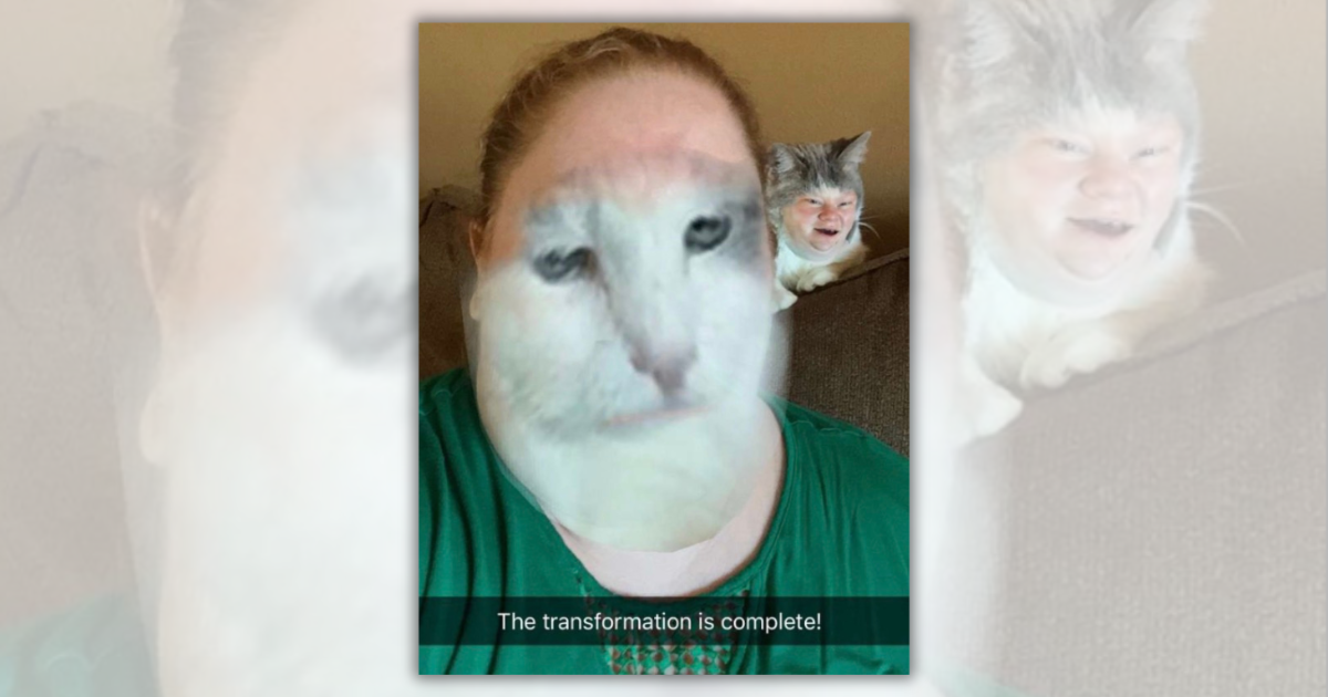 26 Funny Feline Snaps That Say: Caturday is Over, but the Memes Don't ...