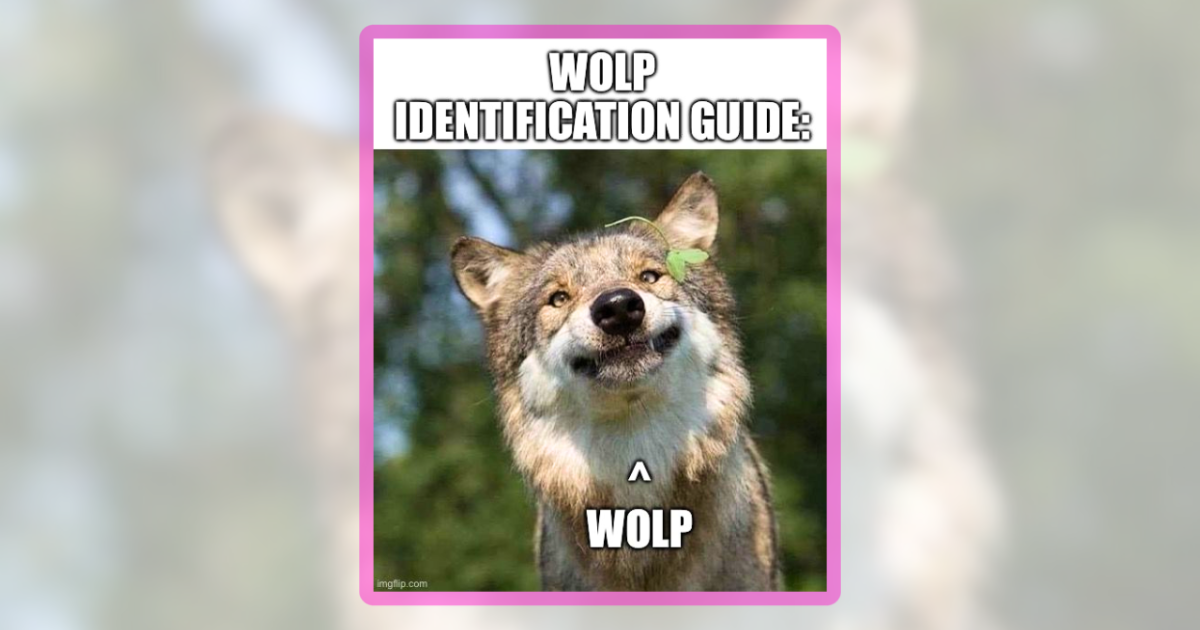 25 Silly Wild Animal Memes to Mentally Escape From Our Silly Society ...