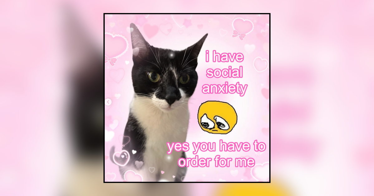 21 Cat Memes for When Anxiety Has You in Its Claws - I Can Has Cheezburger?