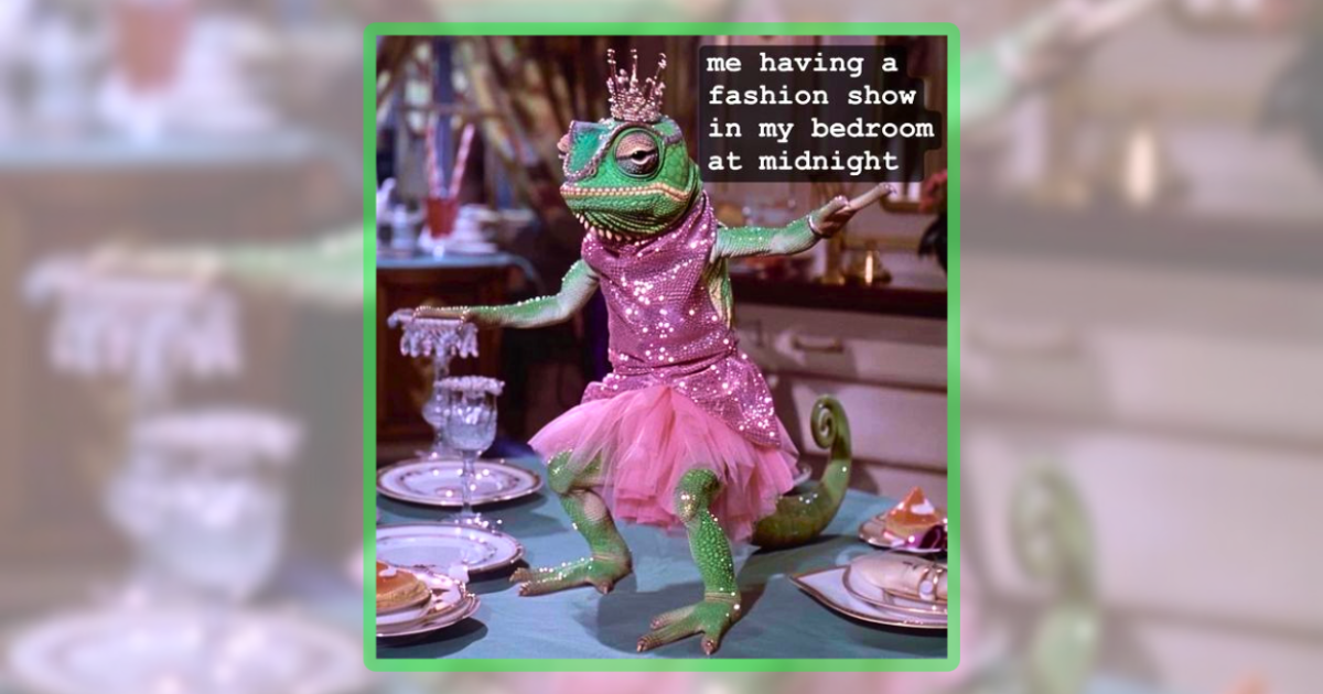 24 Weird Animal Memes for Weirdos Who Want to Howl With Laughter ...