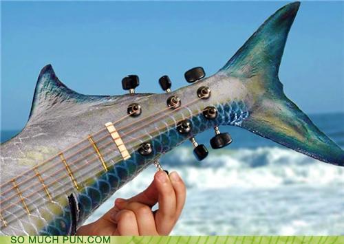 Puns - carp - Funny Puns - Pun Pictures - Cheezburger