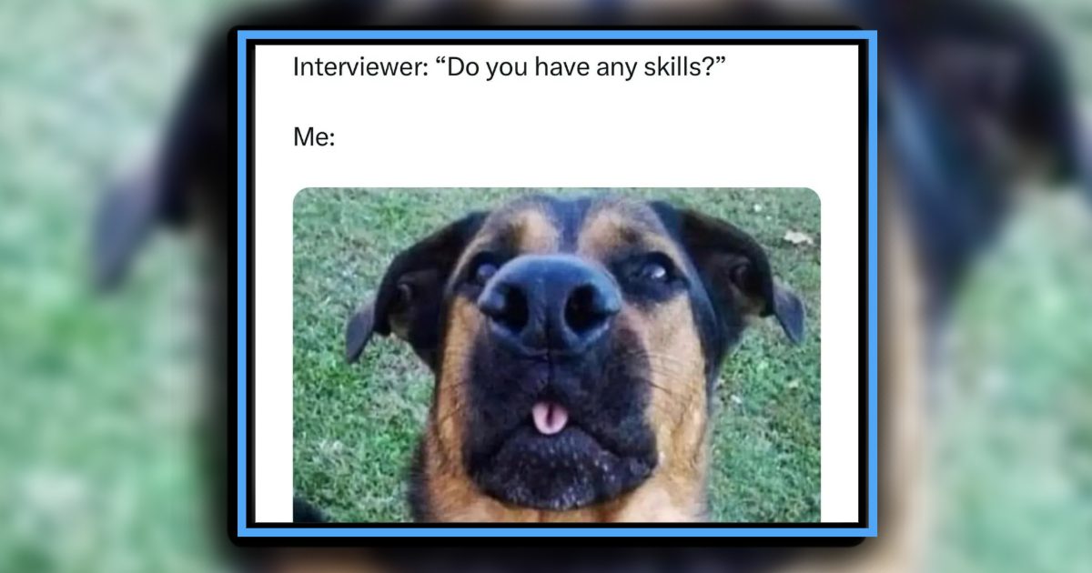 23 Heartwarming Dog Memes for Your Sunny Sunday Scroll in the Park ...