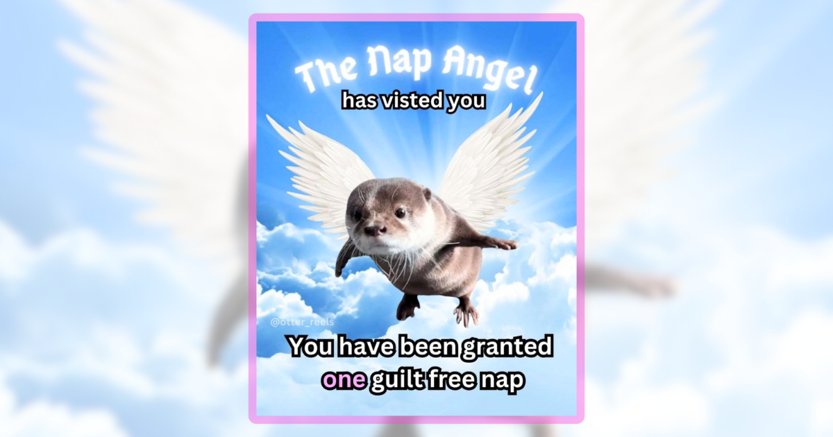 24 Silly Animal Memes for When You Need Maximum Derp and Zero Chill ...