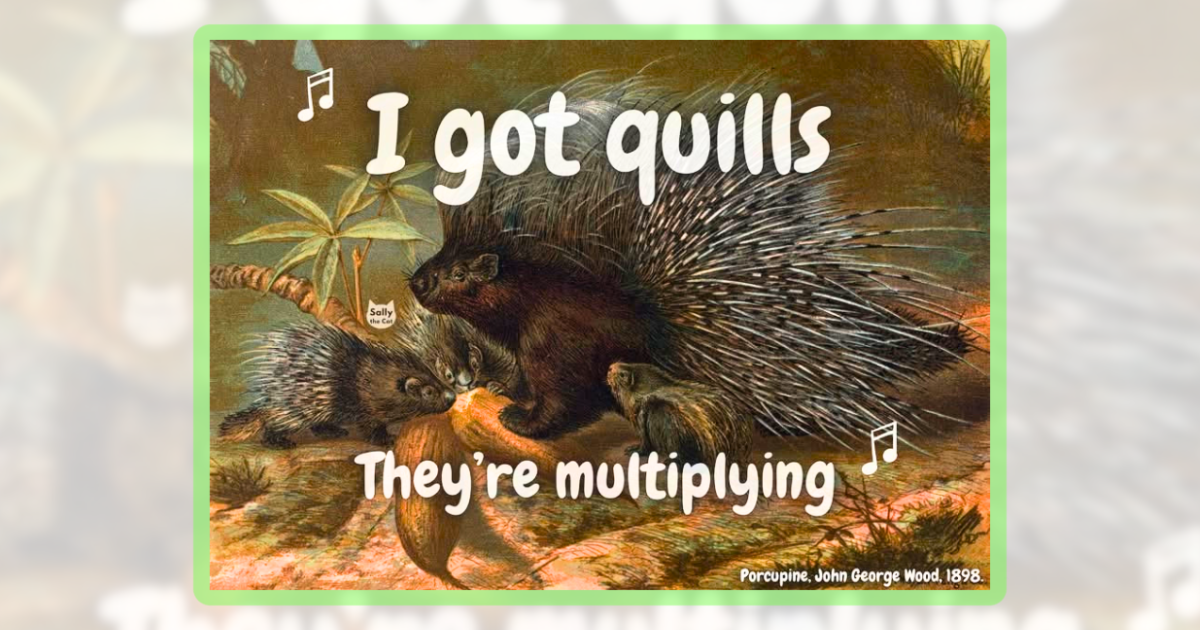 24 Wild Animal Memes for Your Forest Break Far From Emails and ...