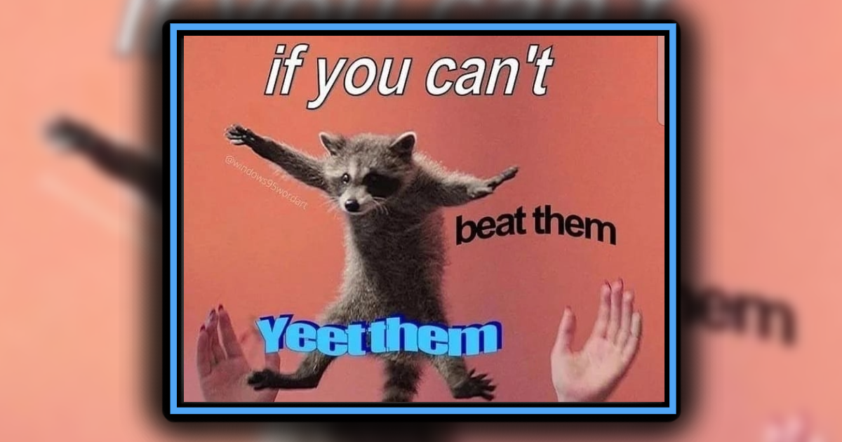 23 Trash Panda Memes for the Hooman Who’s Just Trying to Log In and Not ...