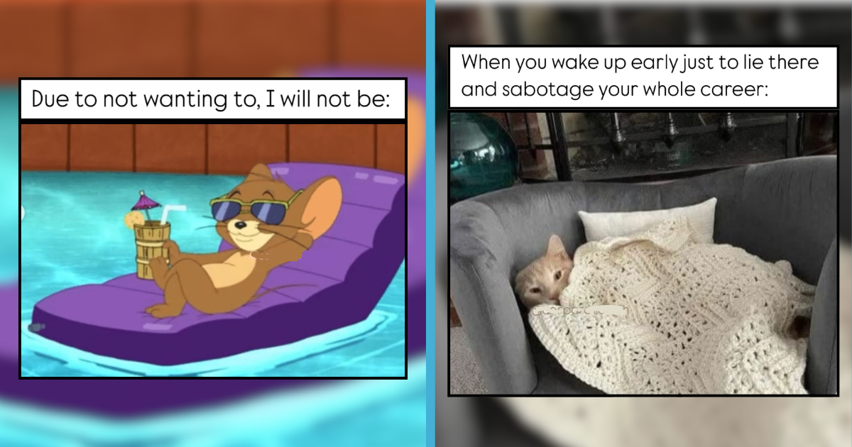 25 Work From Home Memes Showcasing the Highs and Lows of Women Working ...
