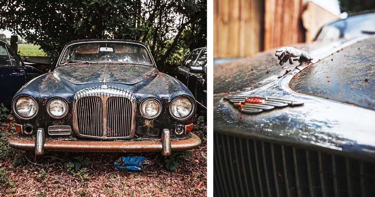 21 Abandoned Cars That Deserve a Restoration - Geek Universe - Geek ...