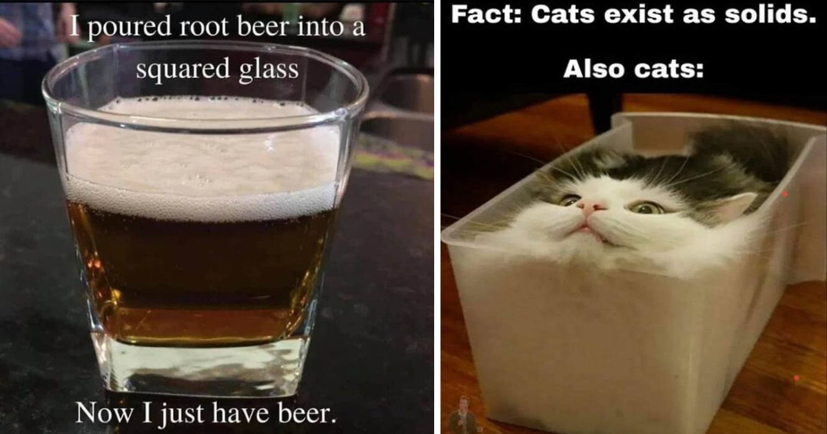 Lab, Laugh, Love: 31 Scientifically Approved Memes for Your Reaction ...