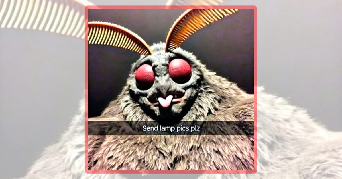 25 Buzzing Bug Memes for When You Need a Tiny Bite of Derp Energy ...