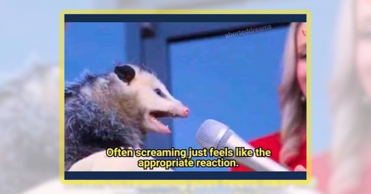 21 Opossum Memes for Humans Hanging On by Their Tail and a Single Snack ...