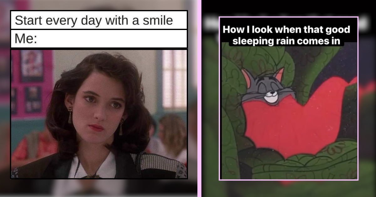 25 Introvert Memes That Accurately Depict the Desire to be Alone (July ...