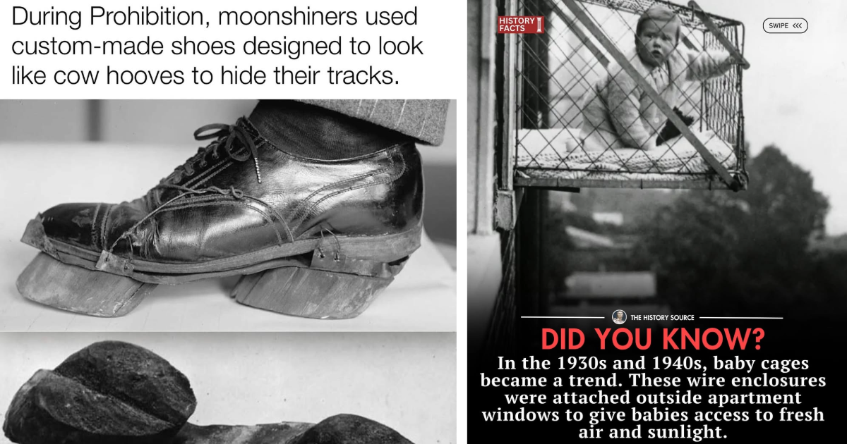 23 Historical Facts That Sound Made Up - Geek Universe - Geek | Fanart ...