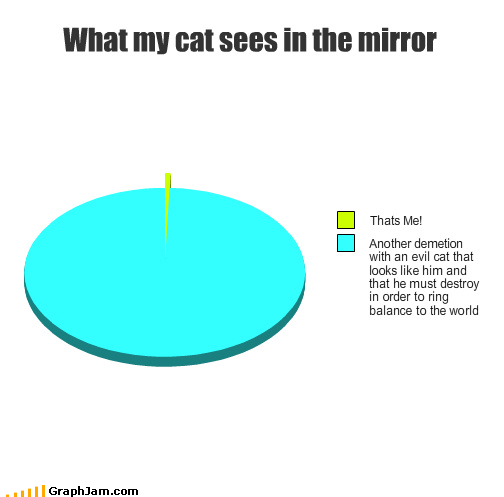 GraphJam - mirror - funny graphs - Cheezburger