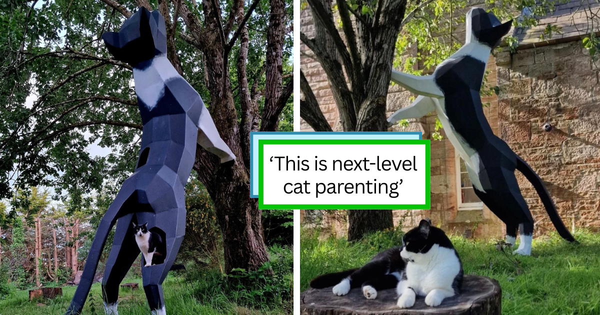 Crafty cat dad makes epic cat-shaped house in honor of his fancy feline ...