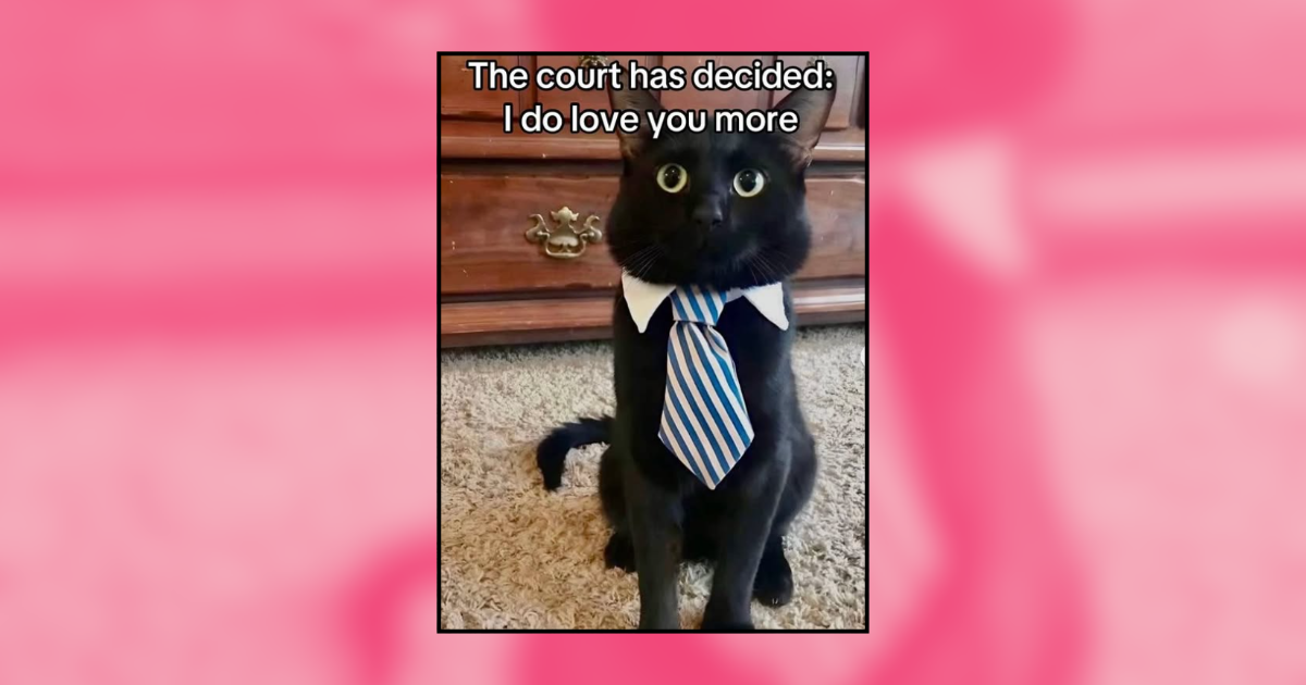 25 Divine Love Memes for Head Over Heels Couples - CheezCake ...