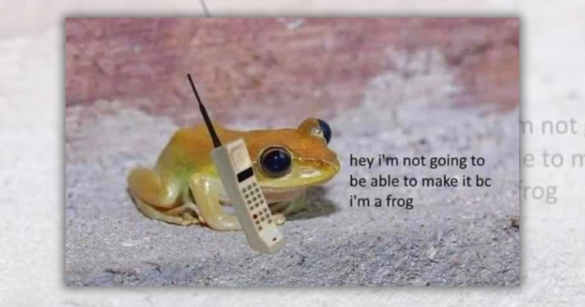 30+ Preposterous Posts of Animals That Represent the Final Hour of Your ...