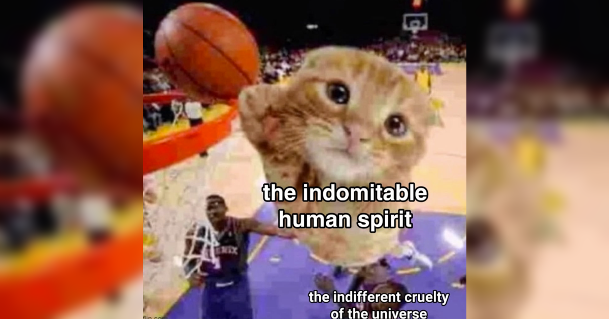 The Best Heartwarmingly Wholesome Memes and Posts of the Week (July 24 ...