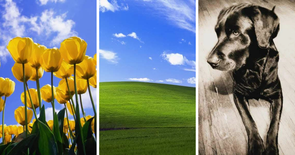 Which One of These Windows XP Wallpapers Did You Rock? - Geek Universe ...