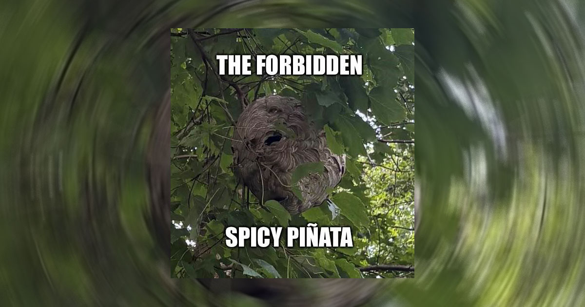 Memebase - frogs - All Your Memes In Our Base - Funny Memes - Cheezburger