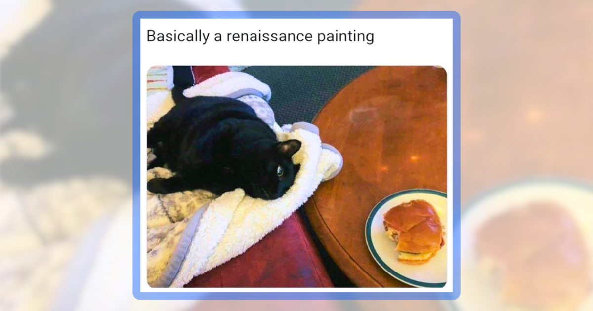 24 Foodie Feline Memes to Fill Your Soul's Fridge With Smiles - I Can ...