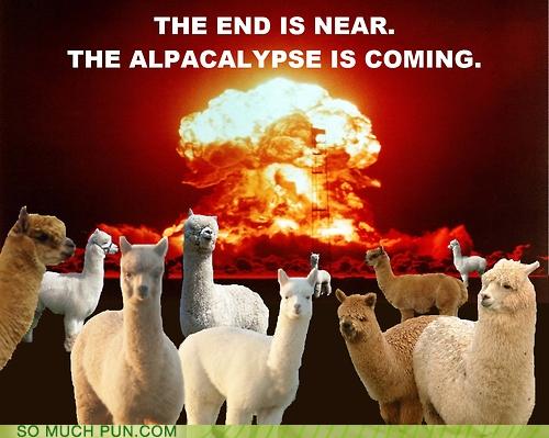 Puns - apocalypse - Funny Puns - Pun Pictures - Cheezburger
