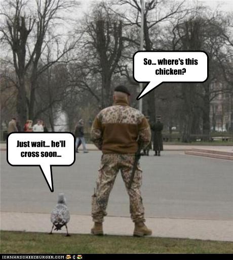 Politics - political memes