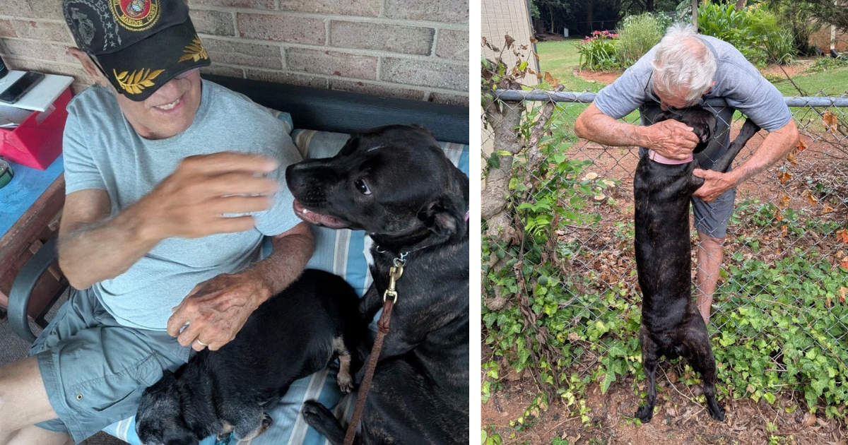 Elderly residents terrified of new neighbor's "scary" doggo, but now ...