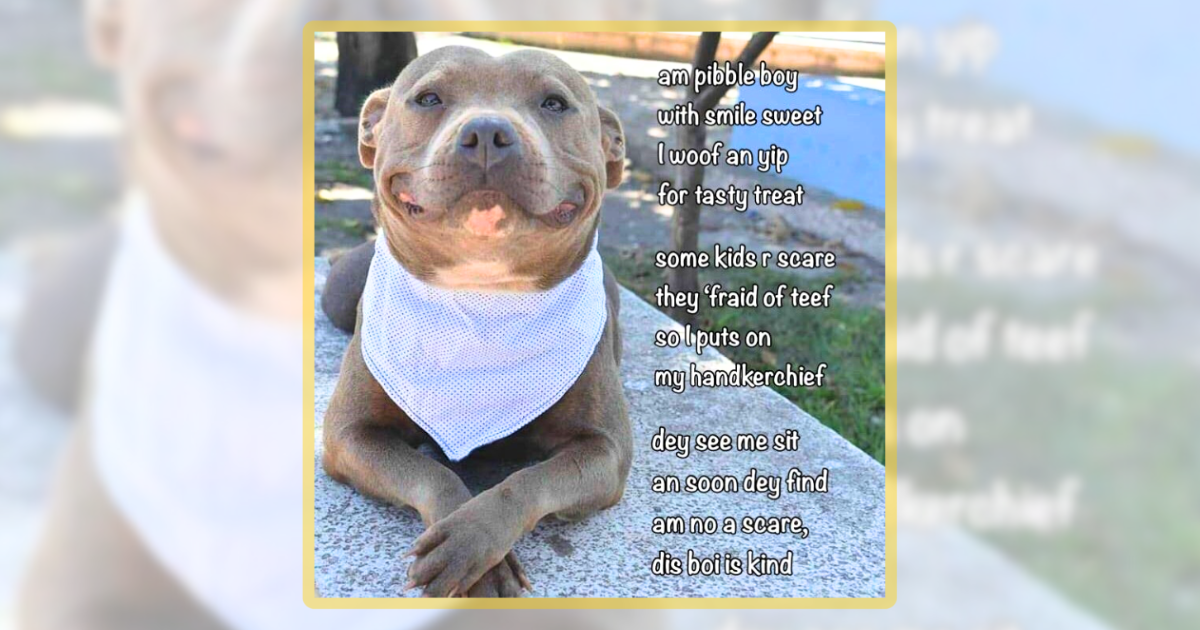 22 Delightful Doggo Pawsts to Start Your Day With Pawsitive Fluffy ...