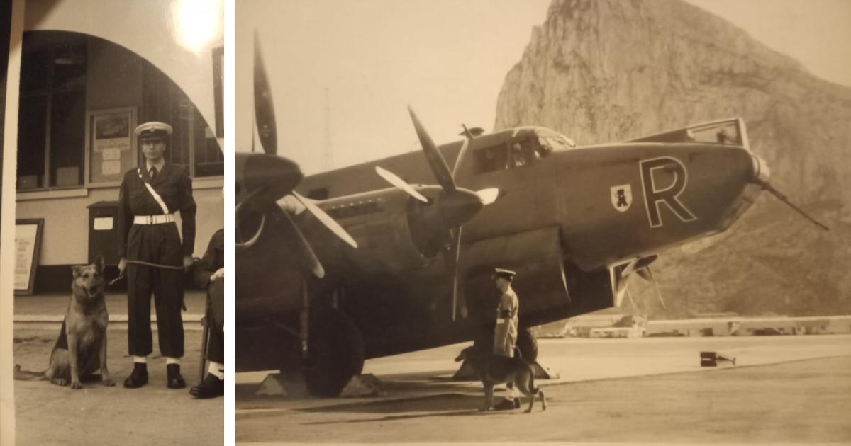 18 Photos of a 1950s RAF Man and His Loyal Dog - Geek Universe - Geek ...