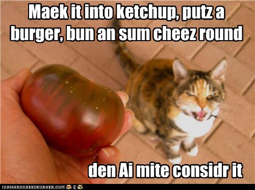 I Can Has Cheezburger?