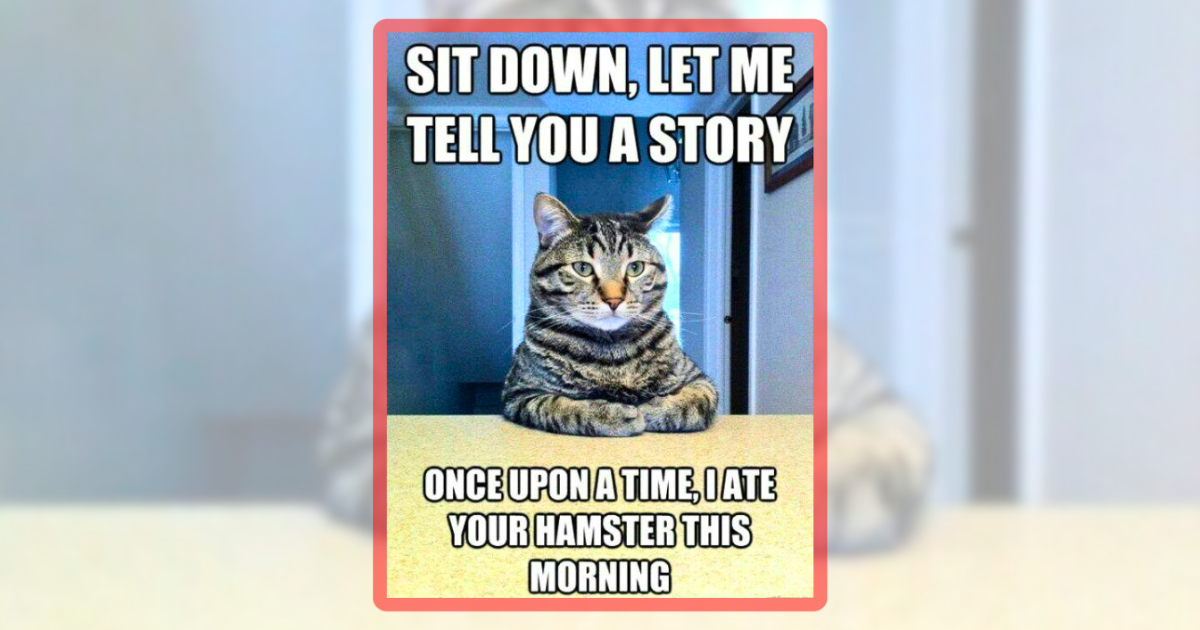 Caturday Best: 25+ Most Purrfect Weekly Cat Memes Curated by 'I Can Has ...
