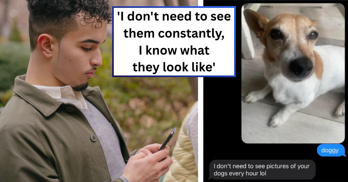 Animal Comedy - sms - Animal Comedy - Animal Comedy, funny animals ...