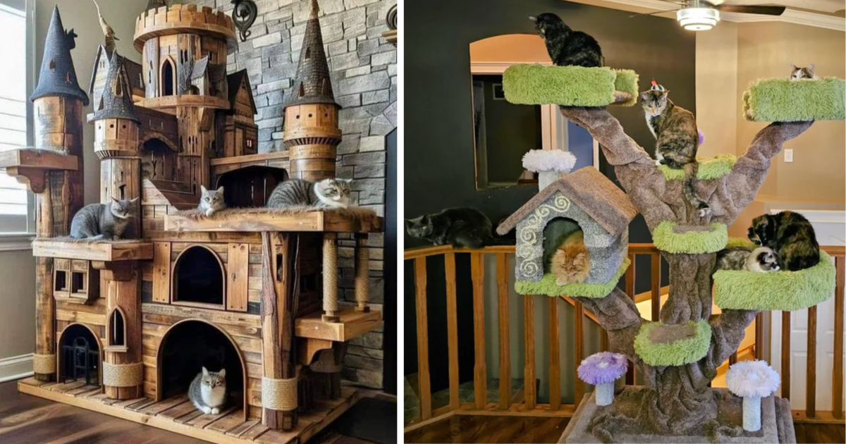 24 Pawsome Pictures of Cool Cat Trees Fancier Than Your Apartment - I ...