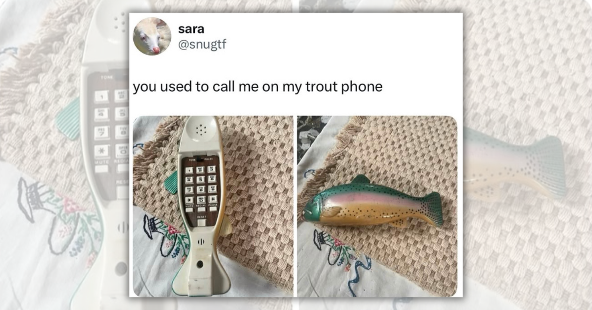 'Back in my day...': 28 Funny millennial memes for animal lovers with a ...