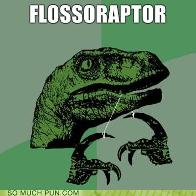 Puns - floss - Funny Puns - Pun Pictures - Cheezburger
