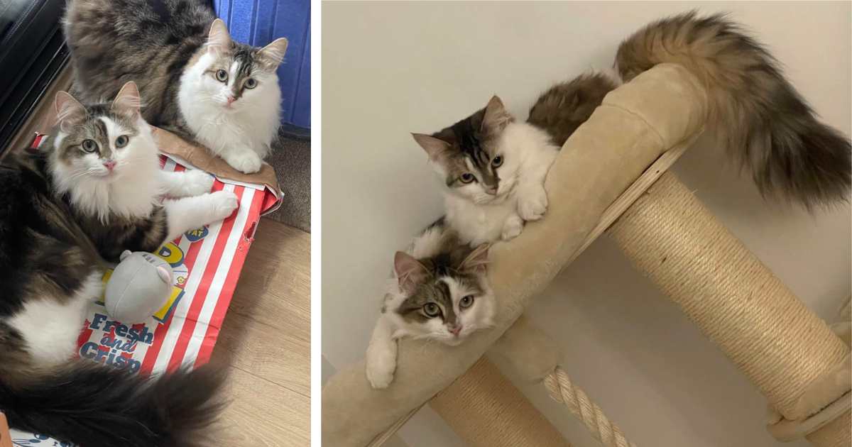 'I honestly thought they just hated the fact that I slept': Pawrent's ...