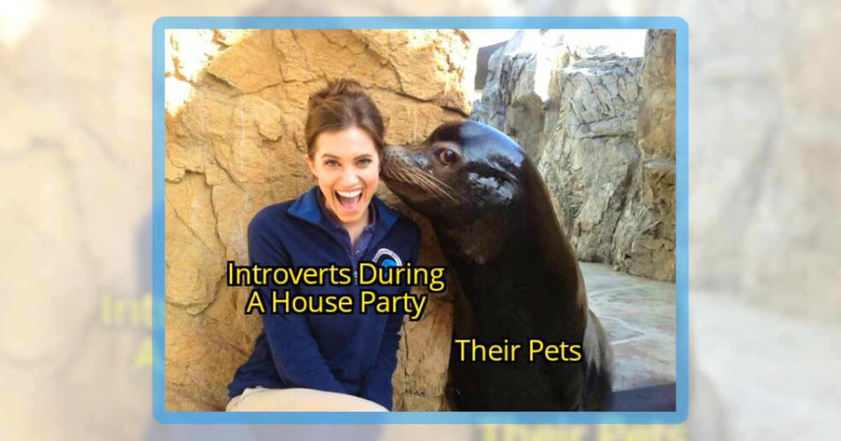 30+ Animal Memes to Frolic Through Your Feed and Lighten the Monday ...