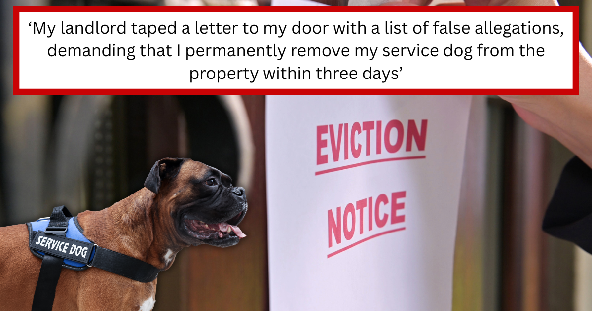 'Three days later, I received eviction papers': Entitled landlord tries ...