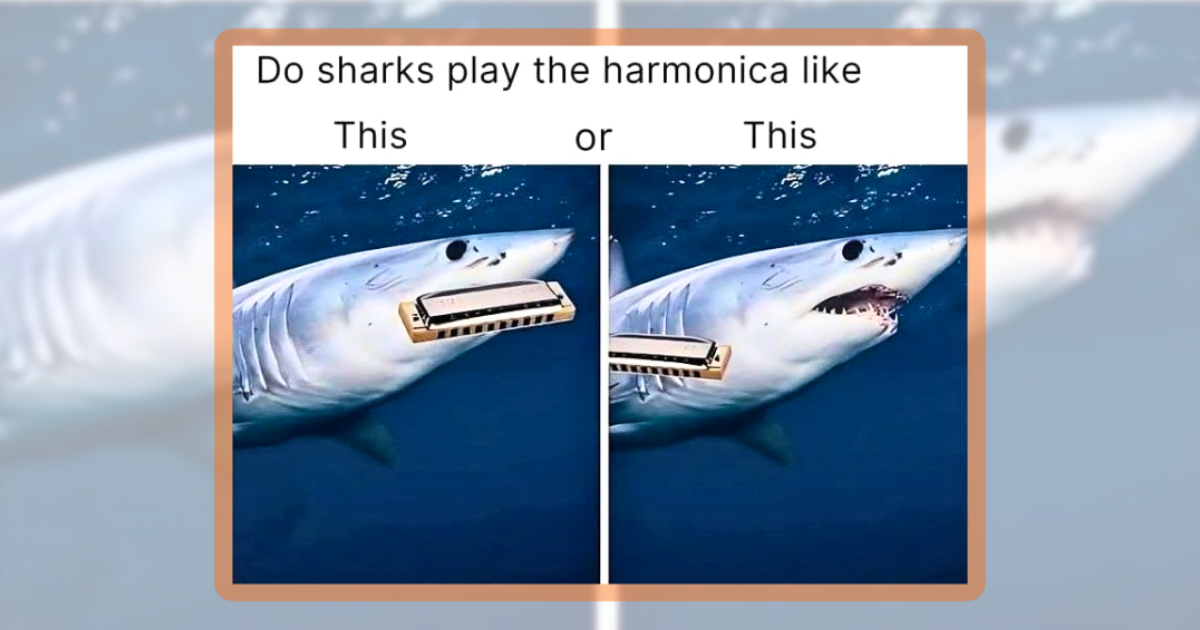 22 Jawesome Shark Memes to Rescue You From the Midweek Deep - Animal ...