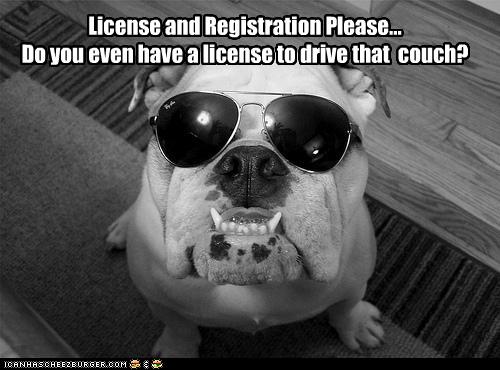 I Has A Hotdog - Dog Pictures - Funny pictures of dogs - Dog Memes ...