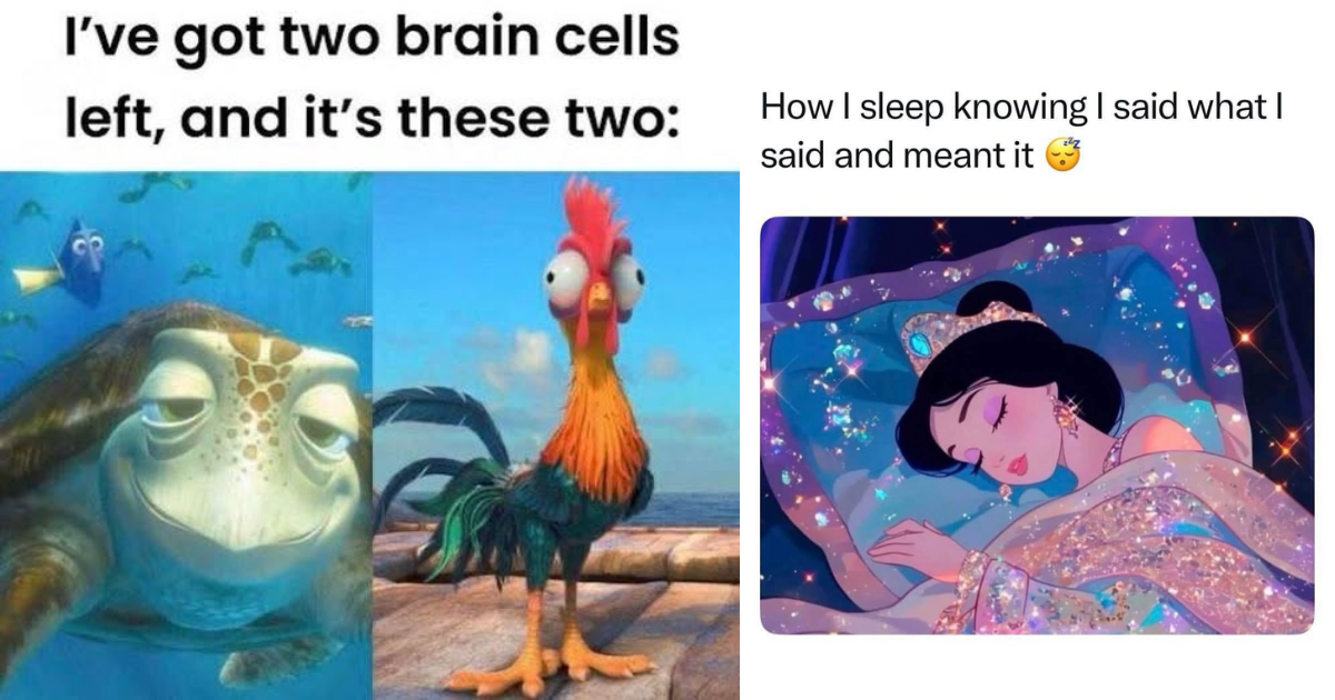 28 Disney Memes That Prove It's Not Just a Phase, It's a Lifestyle ...