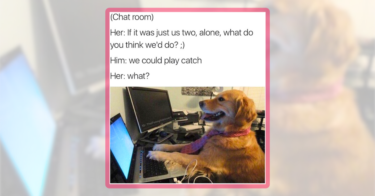 28 Happy Dog Memes for Anyone Who Needs a Belly Rub of Laughter - Animal Comedy - Animal Comedy ...