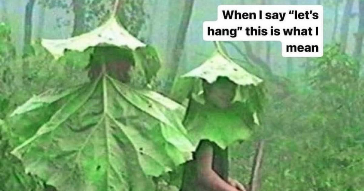 30 Green Memes That Aren't Inexperienced - Memebase - Funny Memes