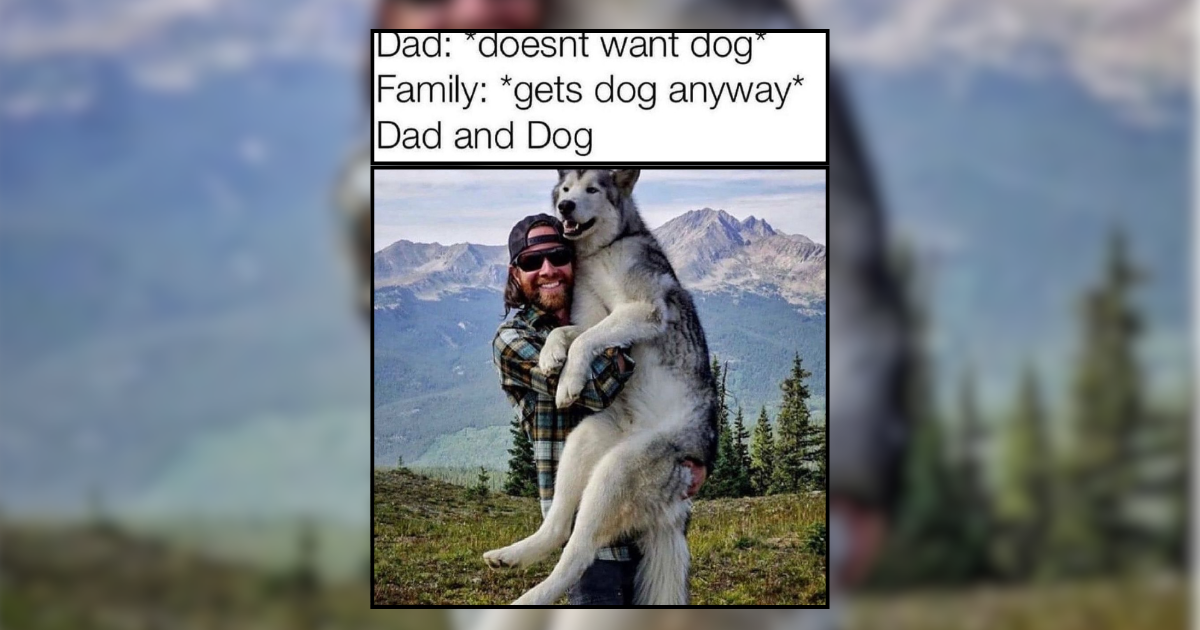 30 Good Morning Barks of Memes for Doggo Loving Owners Running on Kibble and Coffee - Animal ...