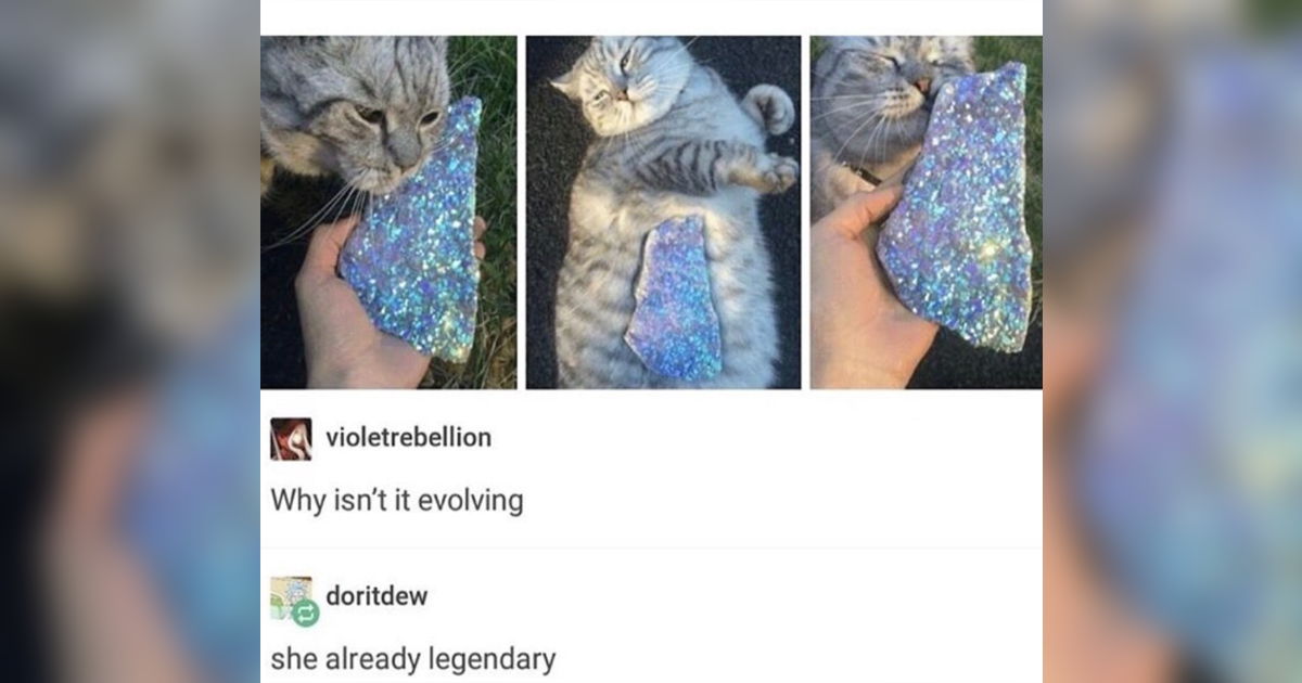 The Best Heartwarmingly Wholesome Memes and Posts of the Week (August ...