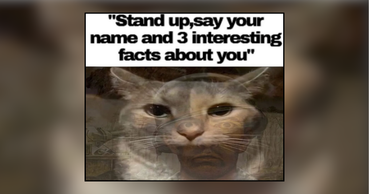 24 Memes of Cats Coping with Back-to-School Catastrophes - I Can Has ...